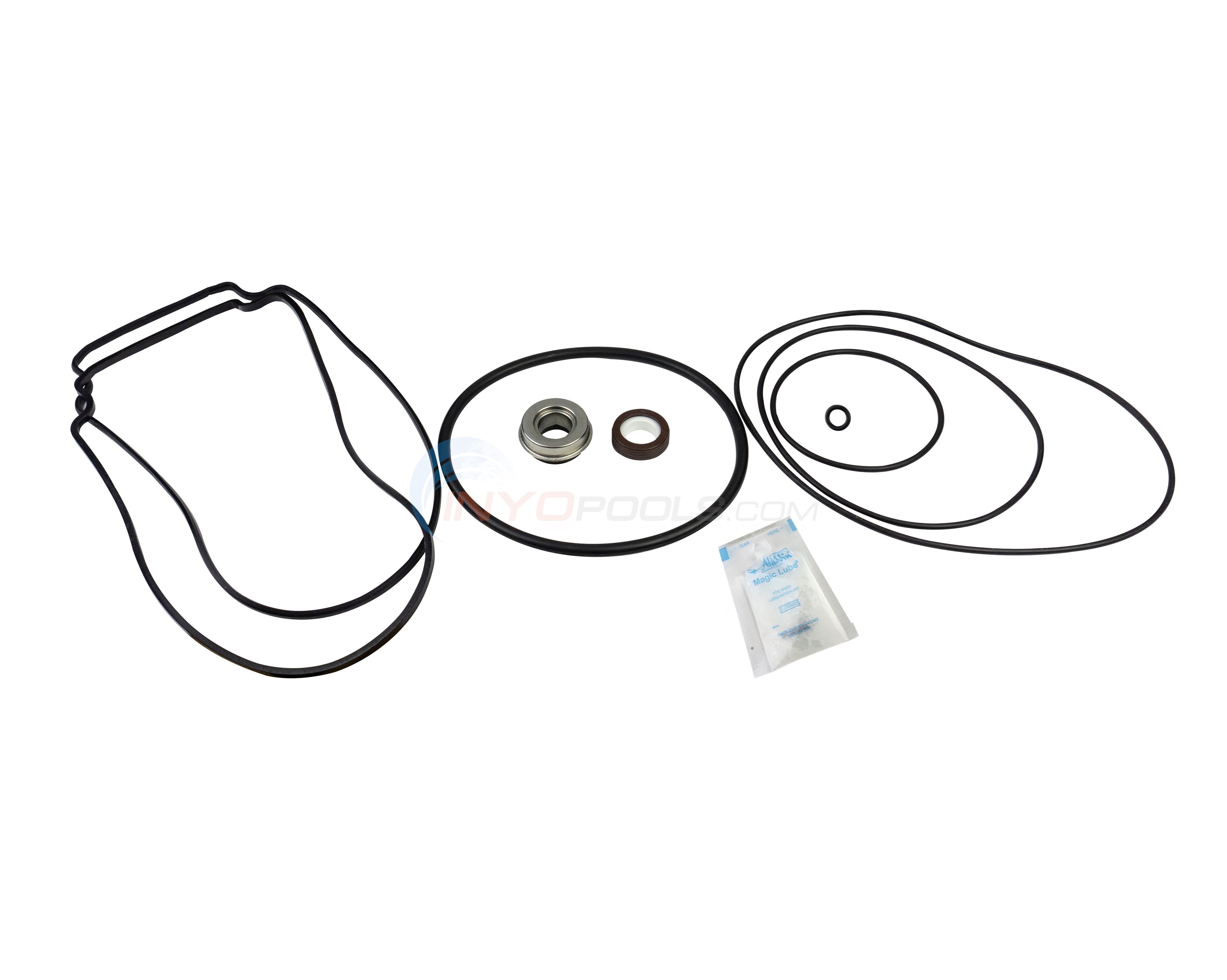 Pentair WhisperFlo Pool Pump Saltwater Seal Kit Series | By Pureline ...