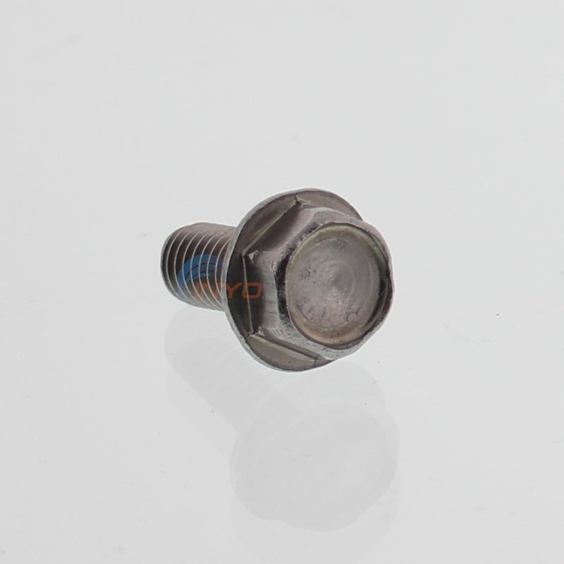 Pentair Screw, Cap 5/16-18 X 5/8in - 355335 - INYOPools.com