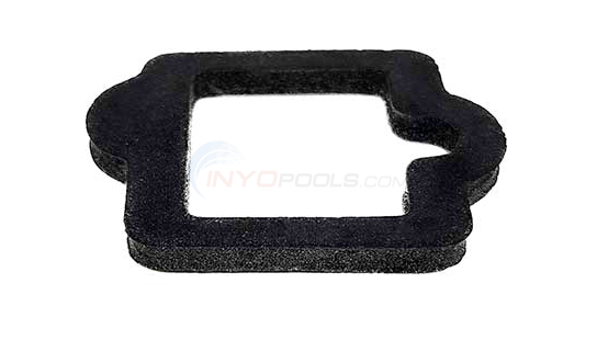 Gasket, Pentair IntelliFlo VS, Drive - 350108 - INYOPools.com