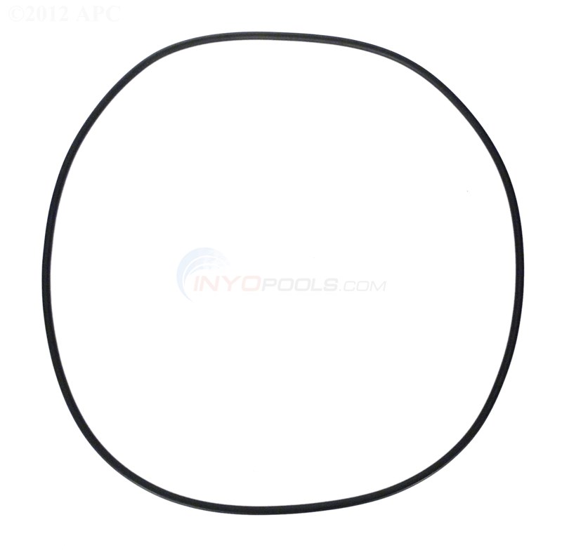 Anthony Apollo D.E. Filter VA-52, VA52-2" Filter Body O-Ring - 17434 ...
