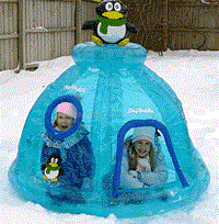 Penguin Igloo - 35065 - INYOPools.com