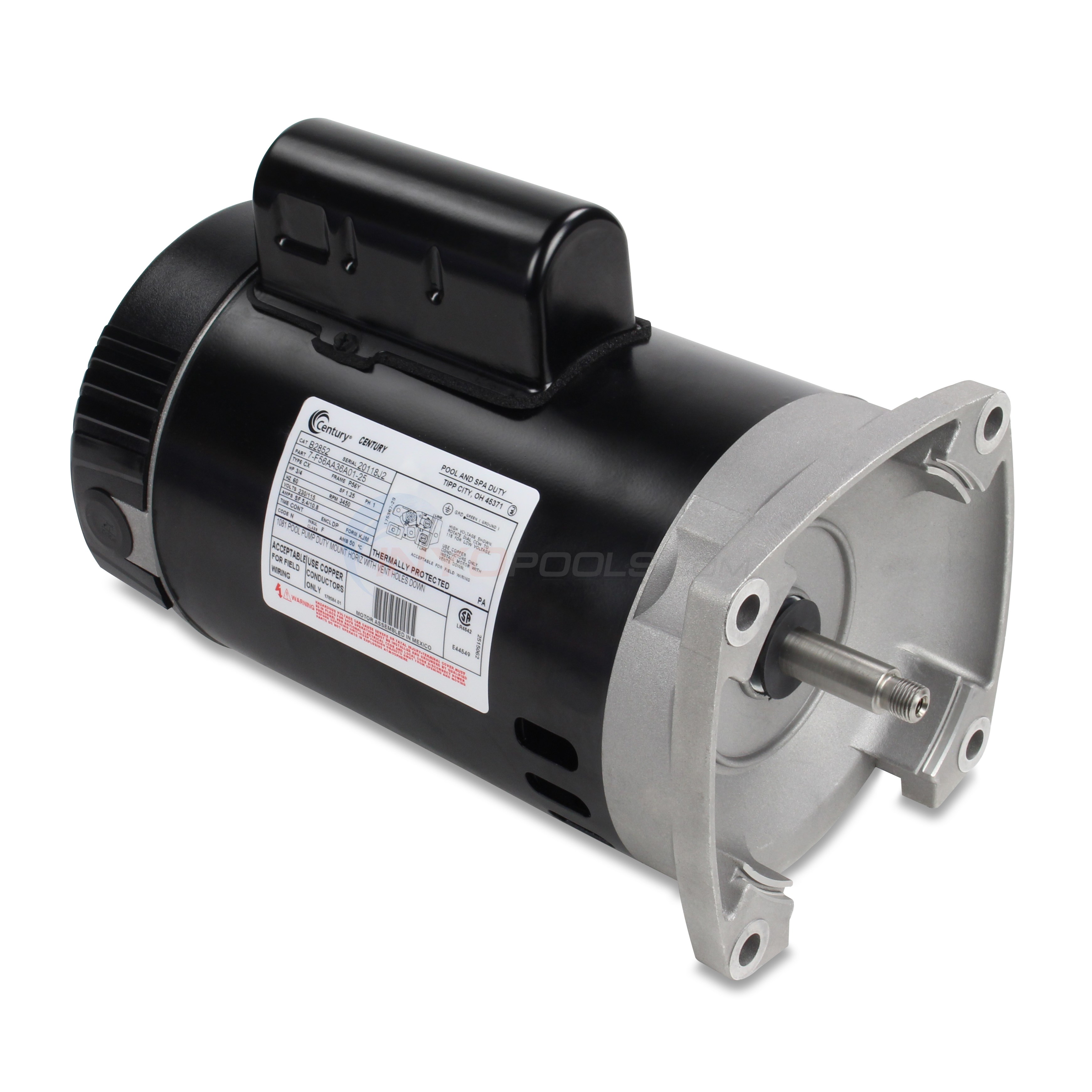 Century® (A.O. Smith) 0.75 HP Up-Rate Pool Pump Motor - B2852 Square ...