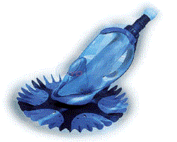 Baracuda G4 Pool Cleaner - INYOPools.com