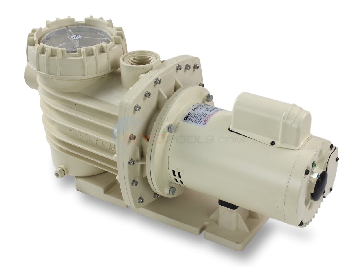 DXD Pool Pump 1.5 HP 115V - PL3590 - INYOPools.com
