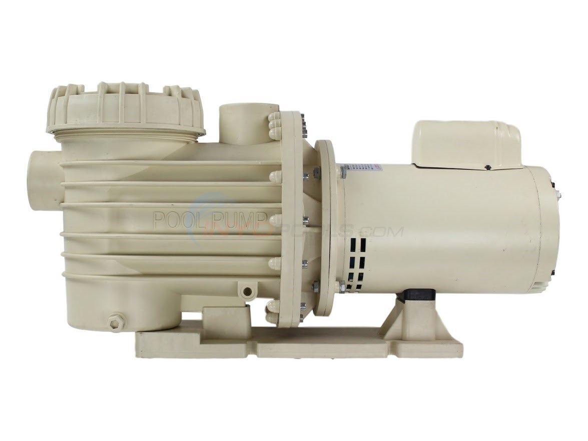 DXD Pool Pump 1.5 HP 115V - PL3590 - INYOPools.com