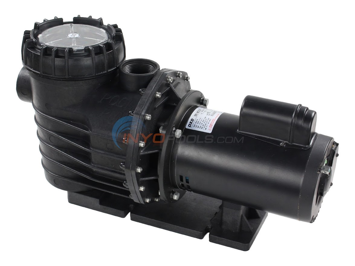 DXD Pool Pump 3 HP 240V - PL3591 - INYOPools.com