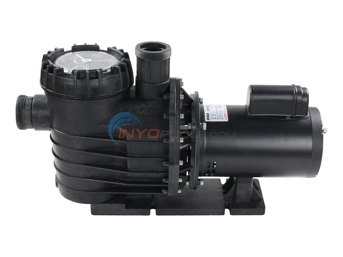 DXD Pool Pump 3 HP 240V - PL3591 - INYOPools.com