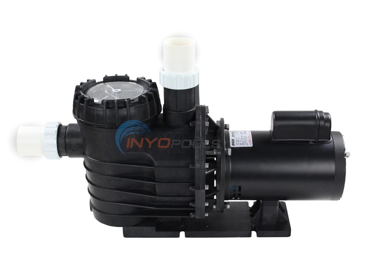 DXD Pool Pump 3 HP 240V - PL3591 - INYOPools.com