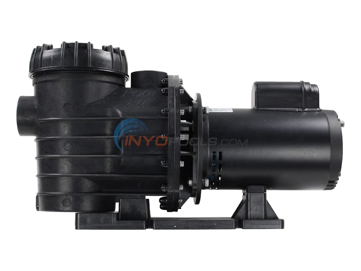 DXD Pool Pump 3 HP 240V - PL3591 - INYOPools.com