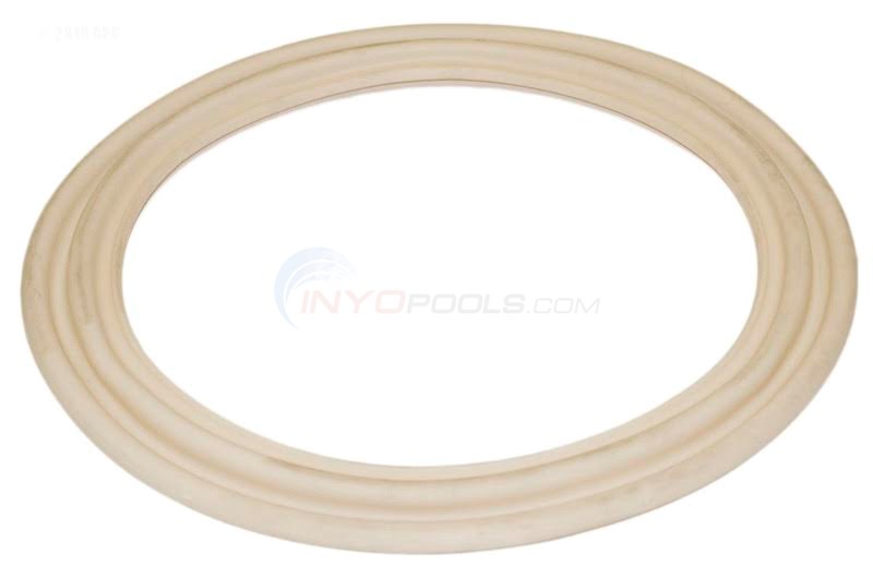 Hayward Diaphragm Gasket for Perflex DE Filter EC-40AC, EC-50C ...