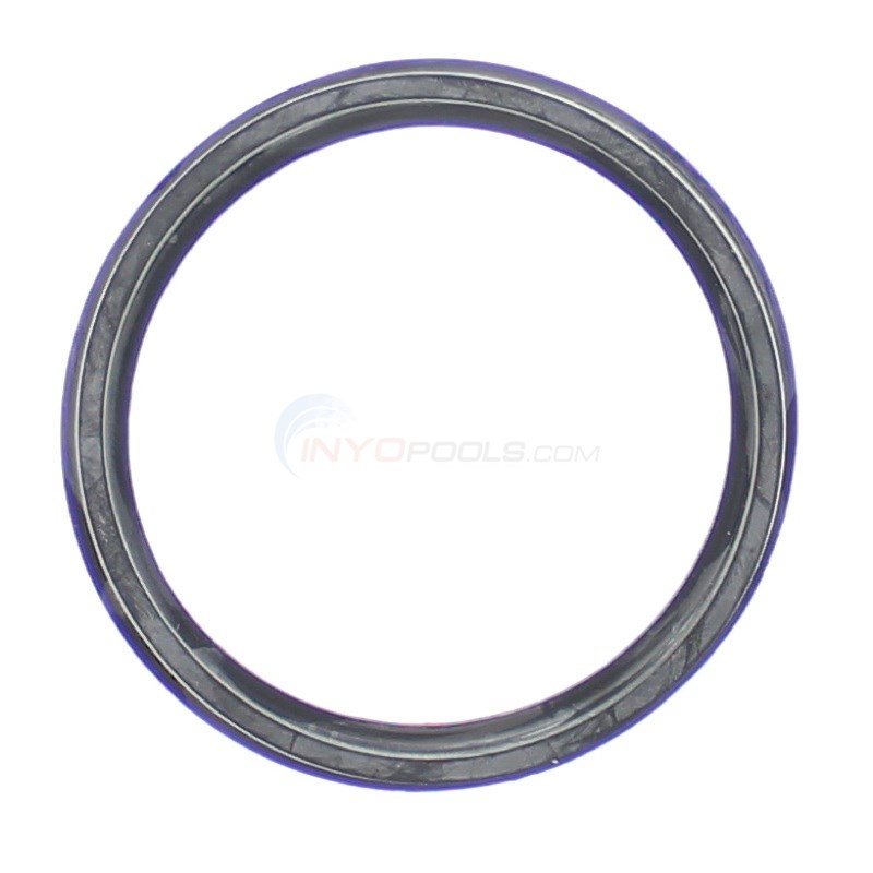 Union Connector Replacement Kit for Hayward NorthStar, EcoStar, and ...