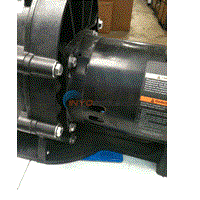 Jandy Stealth Pump 2 1/2 HP Dual Speed - Scratch and Dent - INYOPools.com