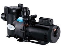 Jandy FloPro 2.5 HP Single Speed Pump - FHPM25 - INYOPools.com
