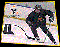 NiceRink Attack Triangles - AT3309AC - INYOPools.com