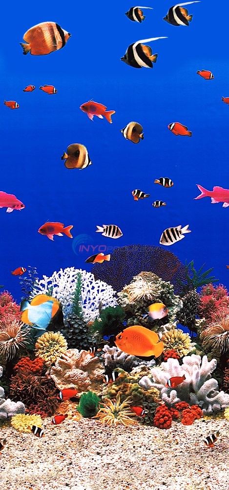27' Rnd 20GA. Aquarium Tile Beaded Liner 48" - NL900720 - INYOPools.com