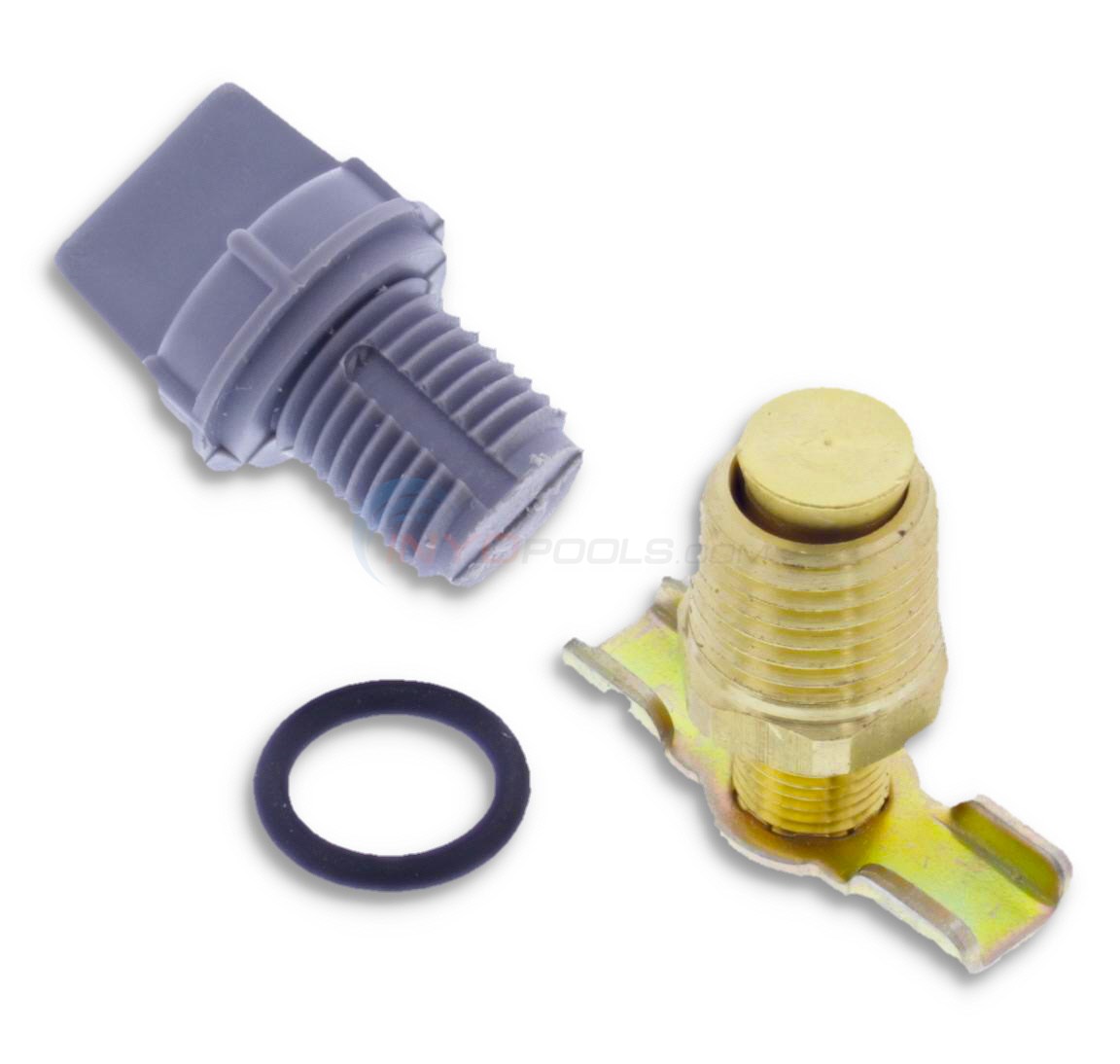 Raypak Drain Plug - 006721F - INYOPools.com