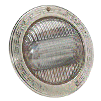 Pentair IntelliBrite White LED Spa Light 12V w/ 100' Cord - INYOPools.com