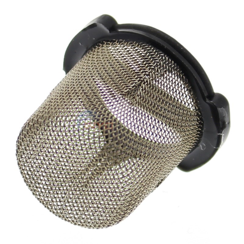 Pentair Letro Legend Wall Fitting Filter Screen (e24) - INYOPools.com