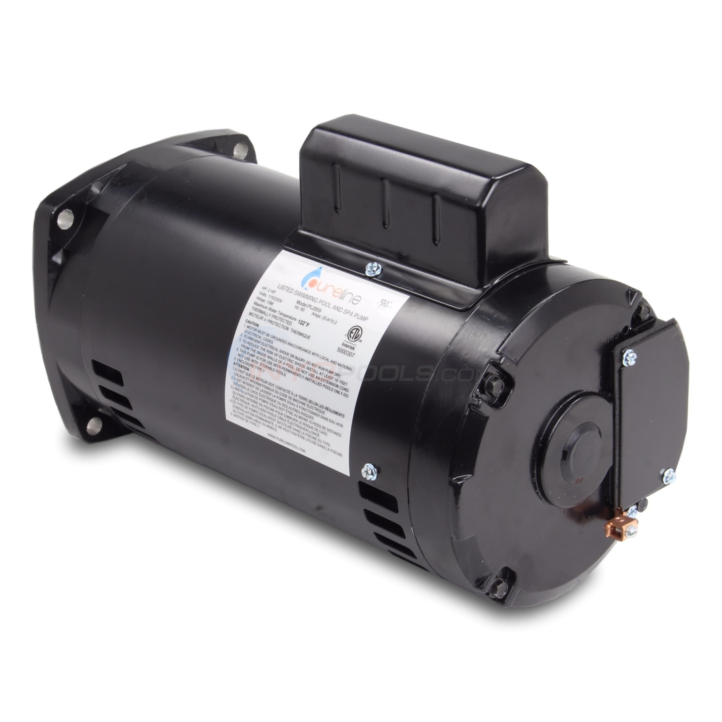 Pureline 2 H.P Pool Motor Square Flange 56Y Up Rate (Out of Stock ...