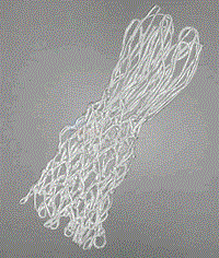 Pool Shot Basketball Net - Ltd. Quantity - PSBBNET - INYOPools.com