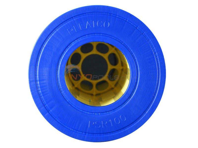 PTM100 Replacement Cartridge Compatible with Sta-Rite® Posi-Flo II 100 ...