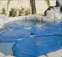 Solar Sun Rings (1) Pack W/ Water Anchor (Australian) - INYOPools.com