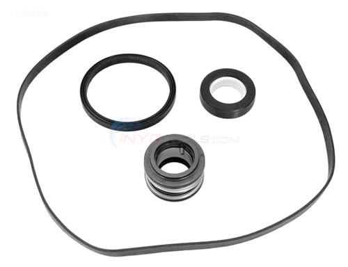 Hayward Super II and RS Series Pump Seal Assembly Kit - SPX3000TRA ...