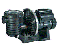 Sta-Rite IntelliPro VS+SVRS Pump - P6E6XS4H209L - INYOPools.com