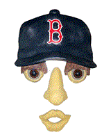 14"x7" Forest Face- Boston Red Sox - MLB0083707 - INYOPools.com