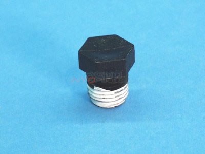 Filter Pipe Plug, 1/4"NPT, STAR - WC78-40T - INYOPools.com