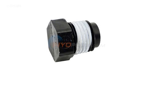 Filter Pipe Plug, 1/4"NPT, STAR - WC78-40T - INYOPools.com
