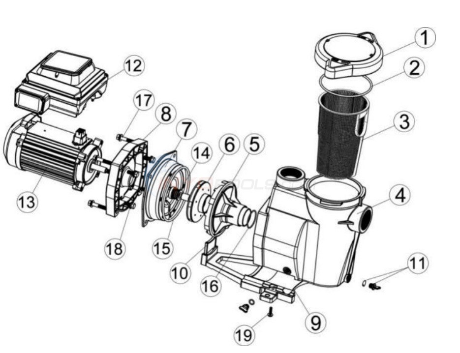 Pureline Rapids and Titan Pool Pump Parts - INYOPools.com