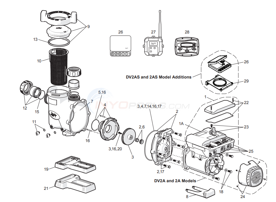 Jandy VS FloPro 2-Aux Relay Pump Mfg. 2019–Present Parts - INYOPools.com