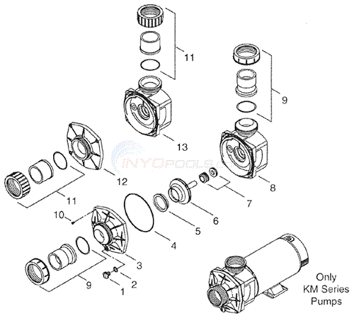 Jacuzzi Stingray Parts - INYOPools.com