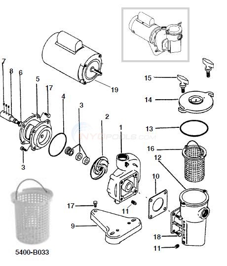 Premier 455 Bronze Pump Parts - INYOPools.com