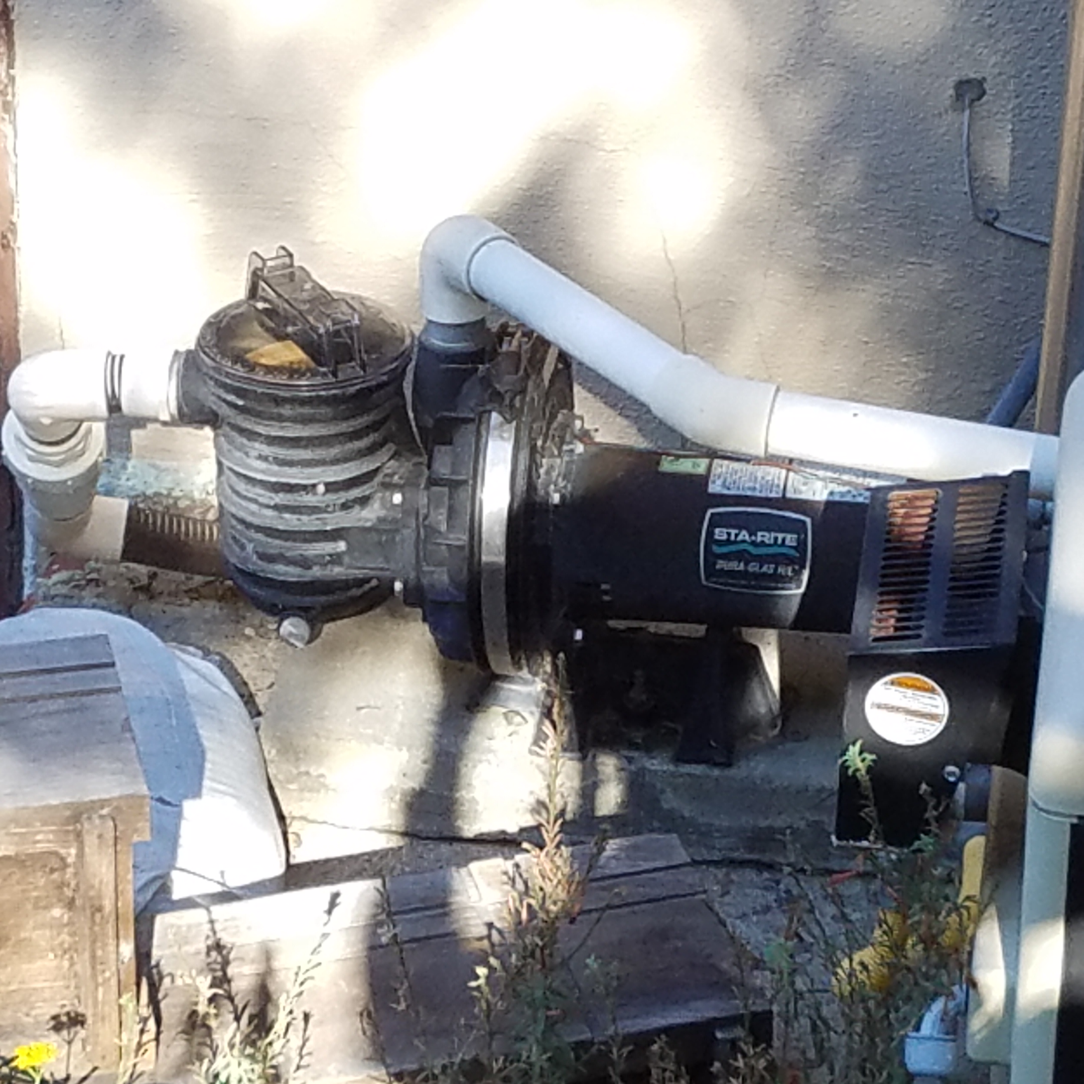 PureLine Sta-Rite Dura-Glas and Max-E-Glas Pump Seal Kit, Pre 1998 ...