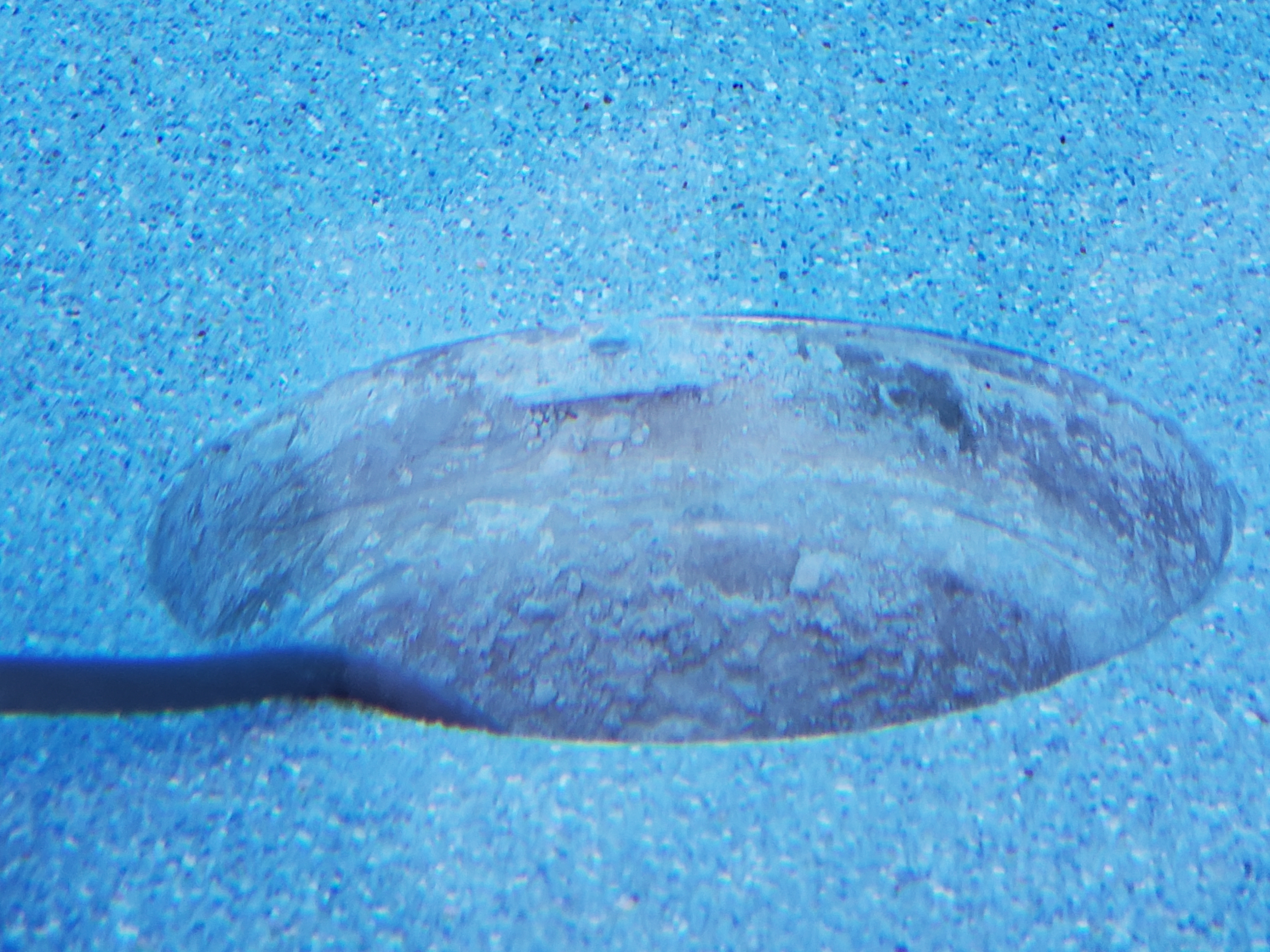 Aladdin Universal Light Adapter Ring - 500C - INYOPools.com