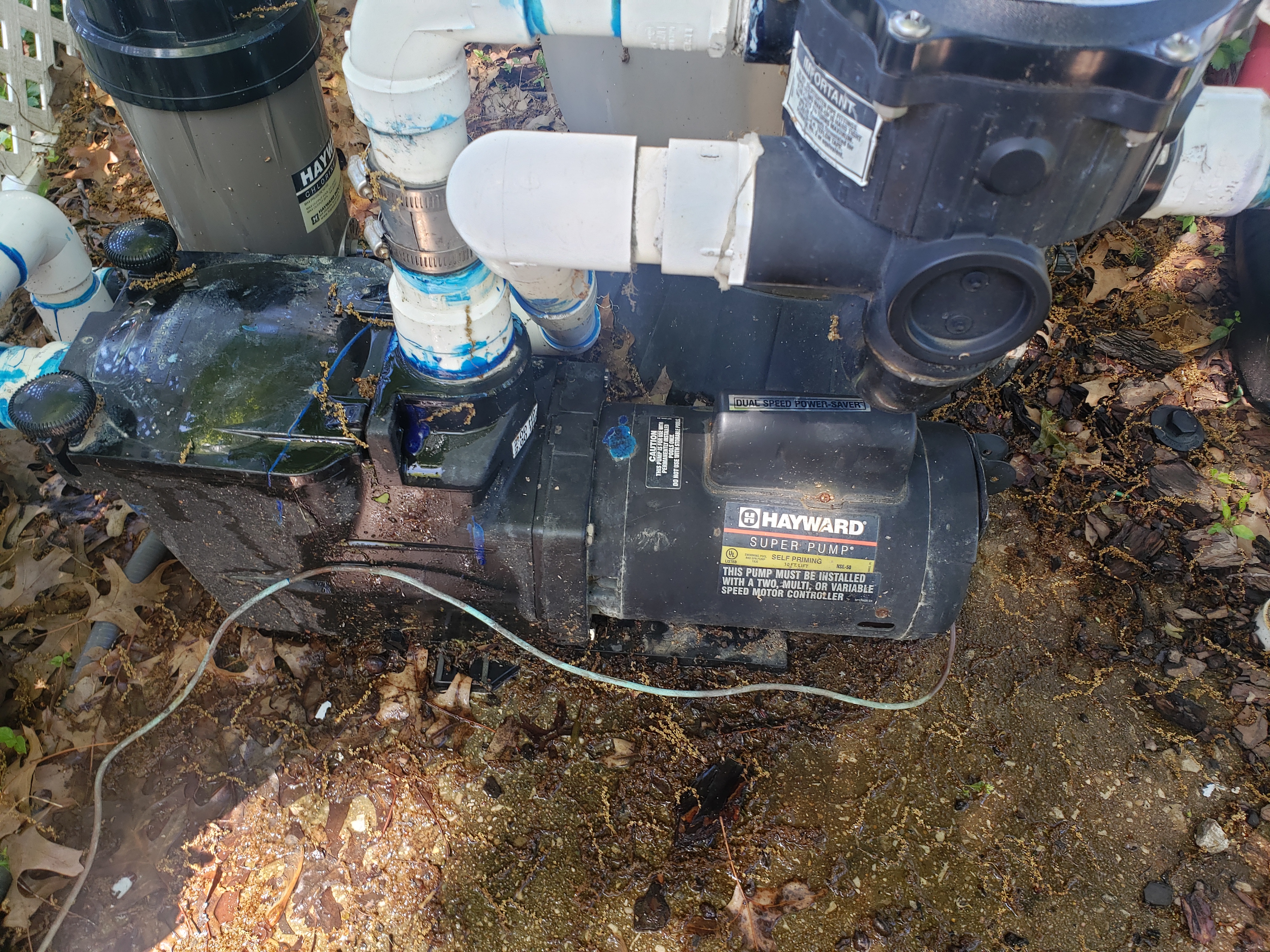 Hayward Super Pump 2 HP Dual Speed - SP2615X202S - INYOPools.com