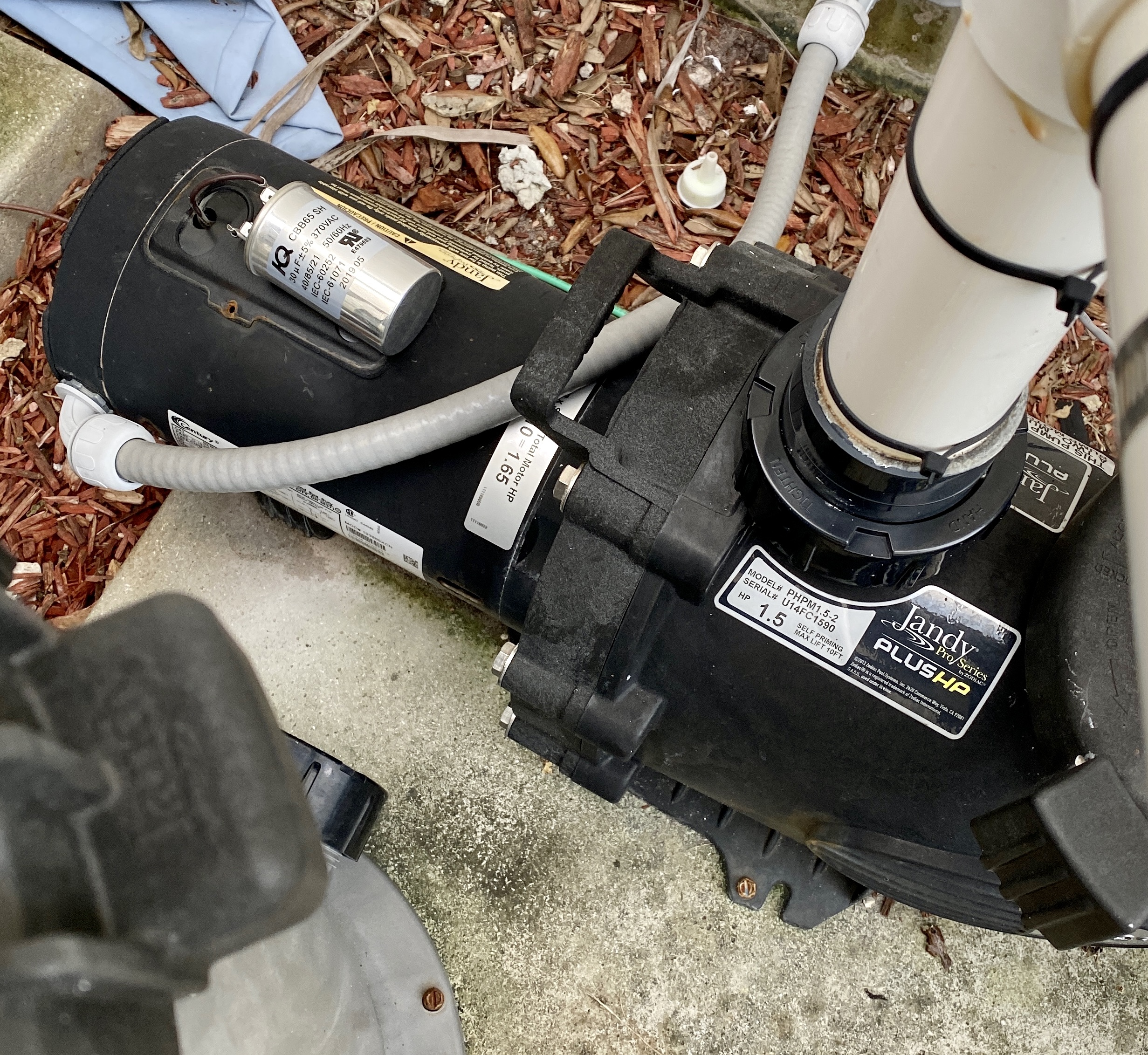 Jandy Pool Pump Mechanical Shaft Seal - R0479400 - INYOPools.com