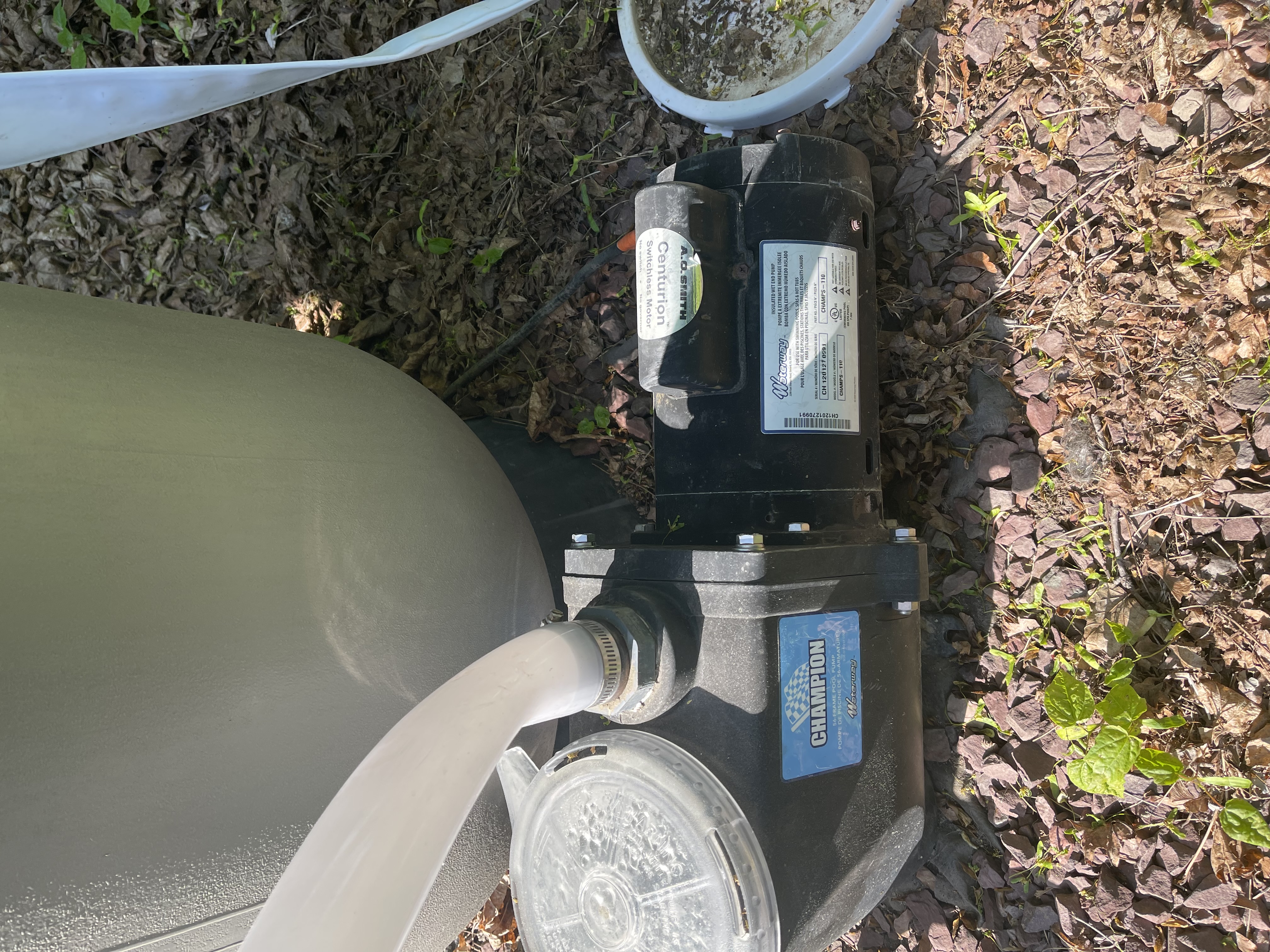 Magnetek Century (A.O. Smith) 1.5 HP Up Rate Motor, Square Flange 56Y ...