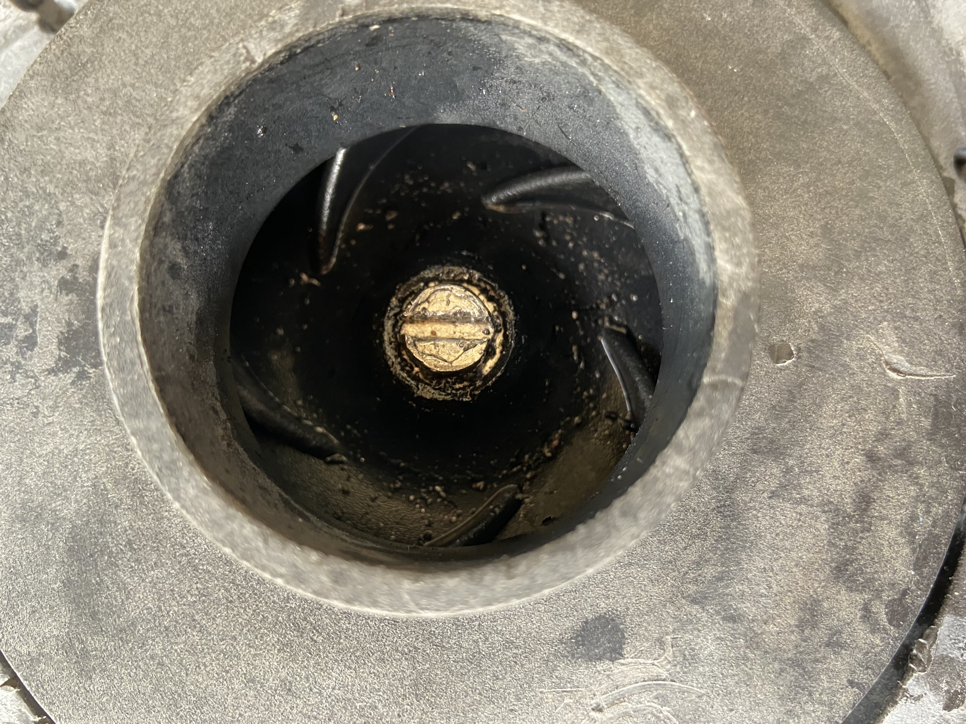 Pentair Impeller Locking Screw- 355389 - INYOPools.com