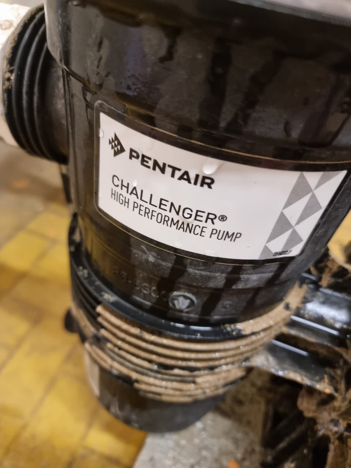 PureLine Pentair Challenger CHII Series Pool Pump Seal Kit - Model ...