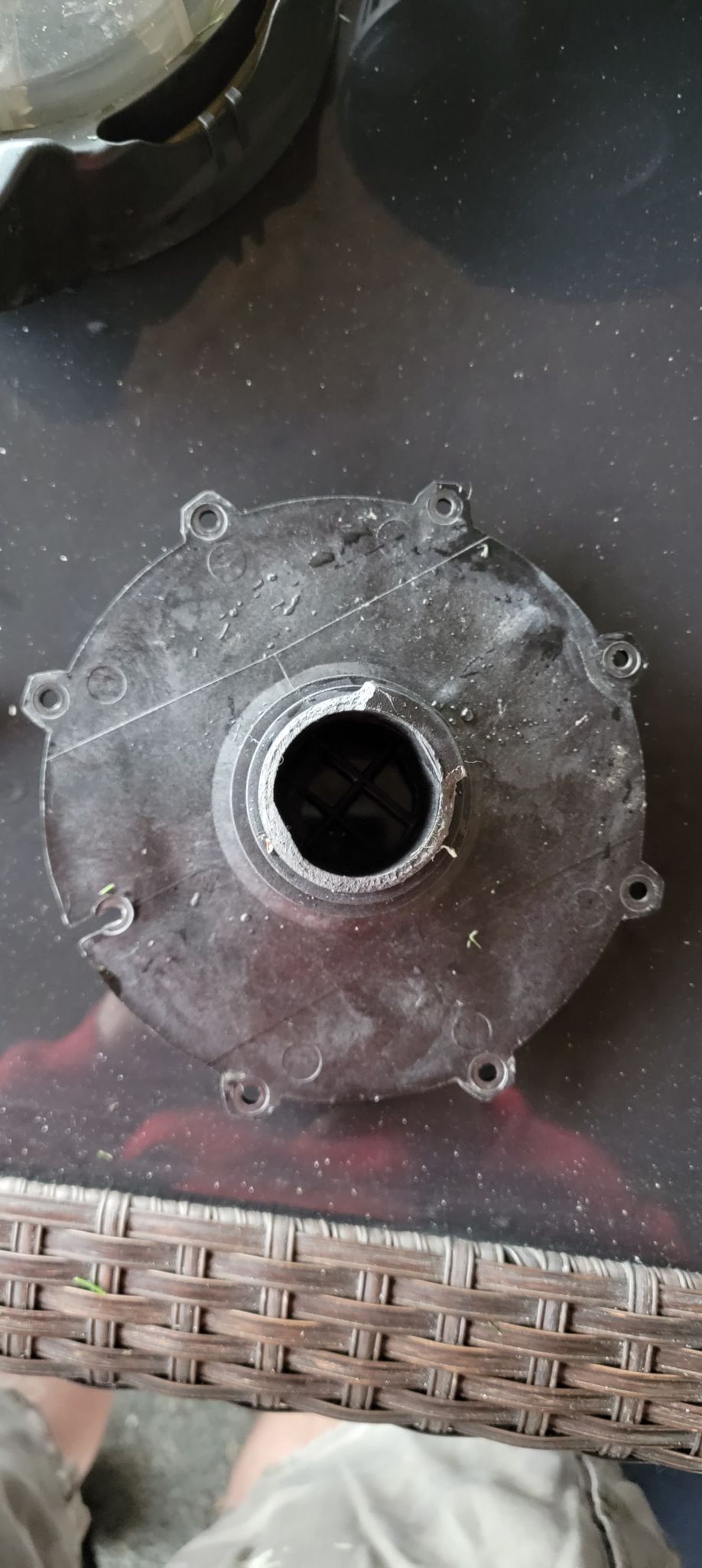 Pureline Above Ground Pool Pump Diffuser, Compatible with Doheny's ...