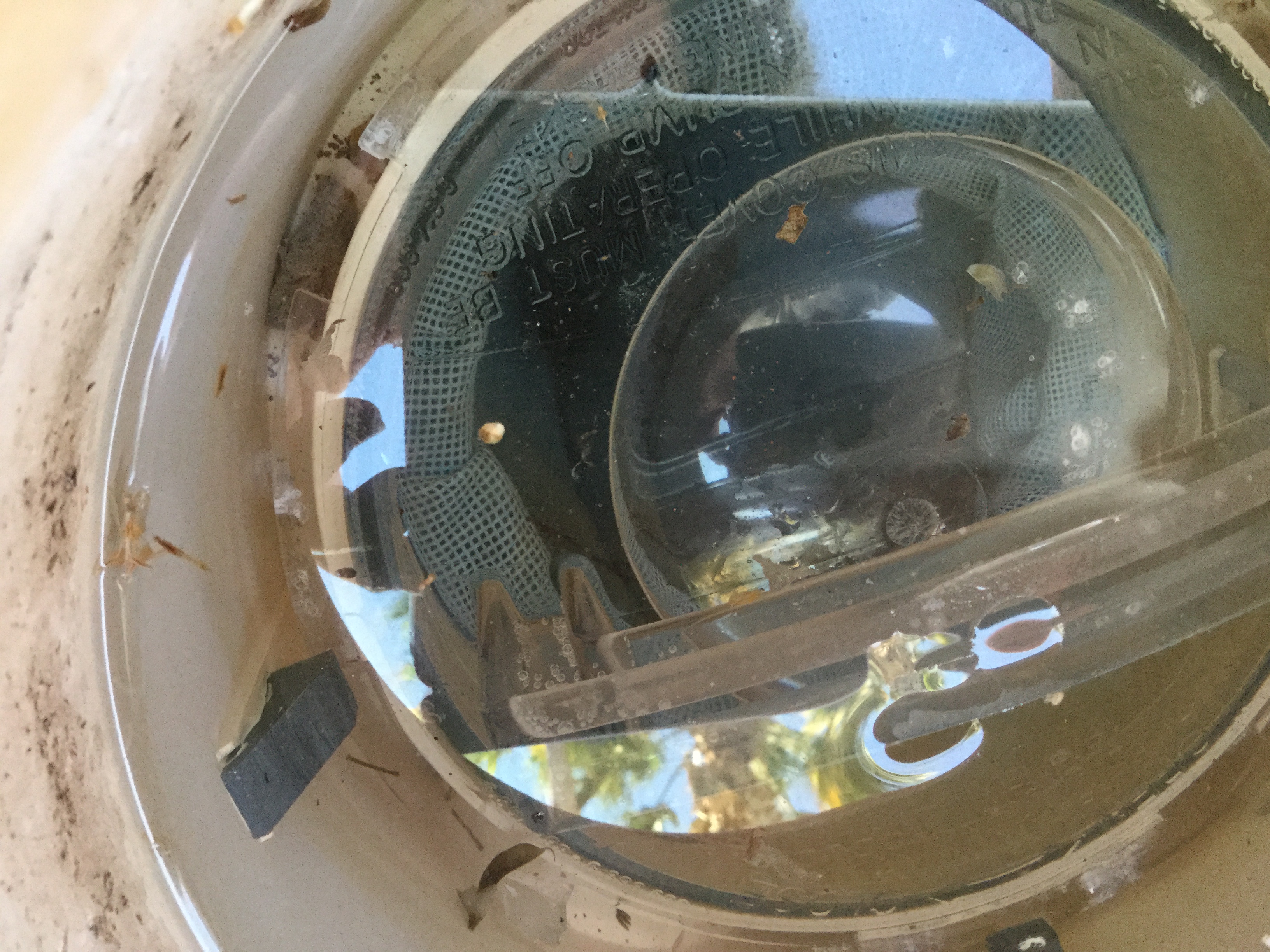 Clear Lid, Paramount Canister (005-152-4580-00) - INYOPools.com