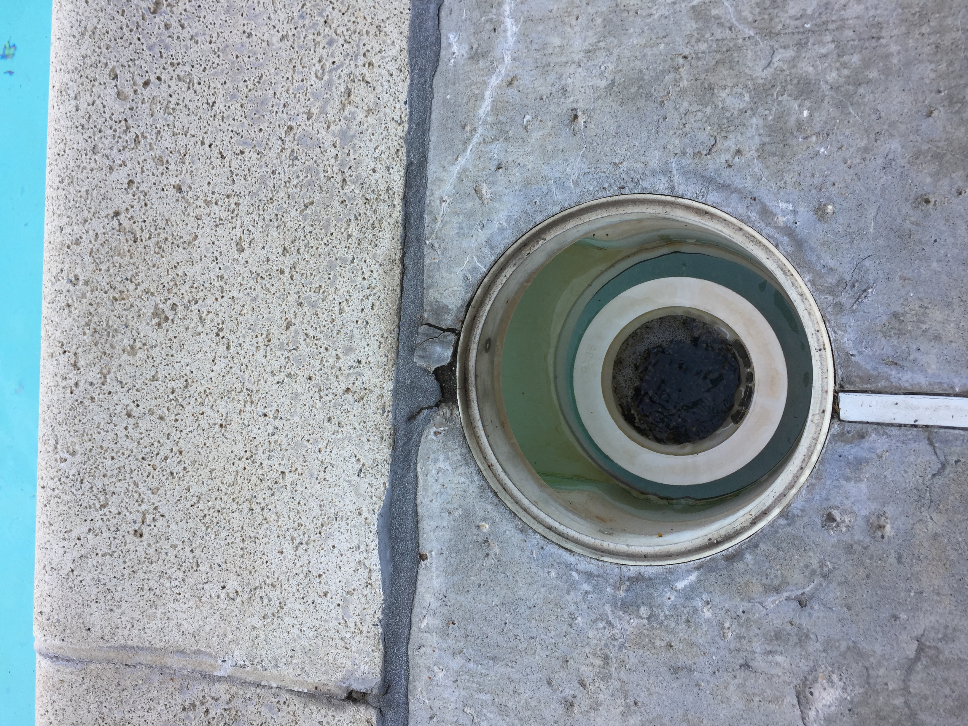 Skimmer Vac-Mate - R211100 - INYOPools.com