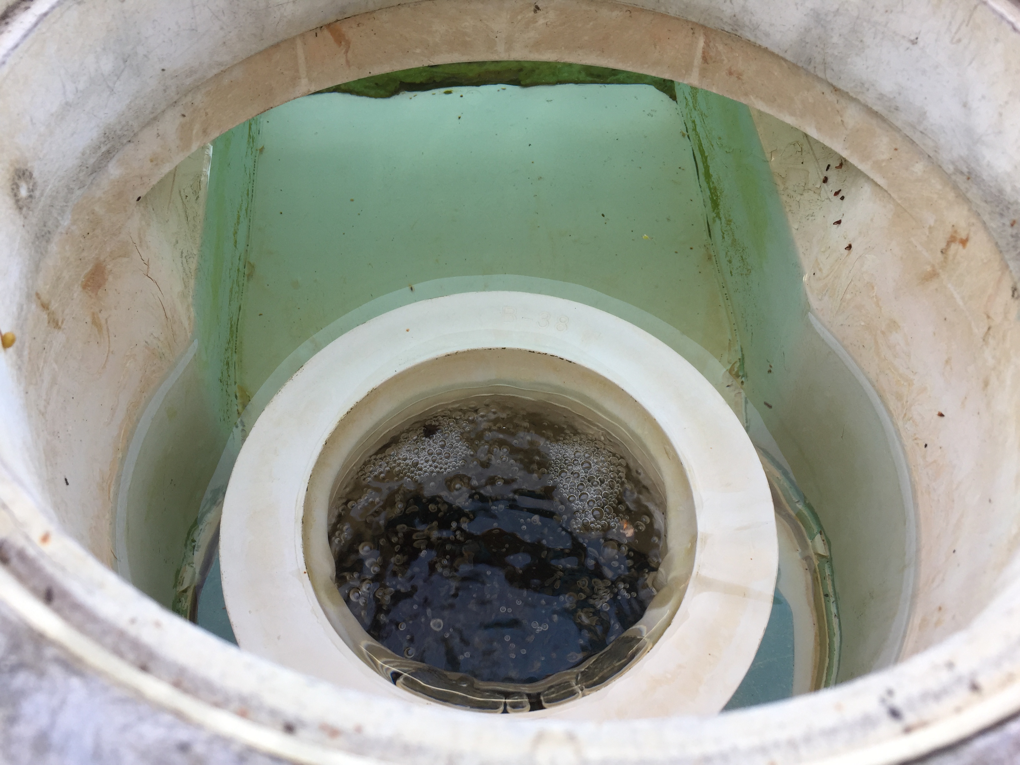 Skimmer Vac-Mate - R211100 - INYOPools.com