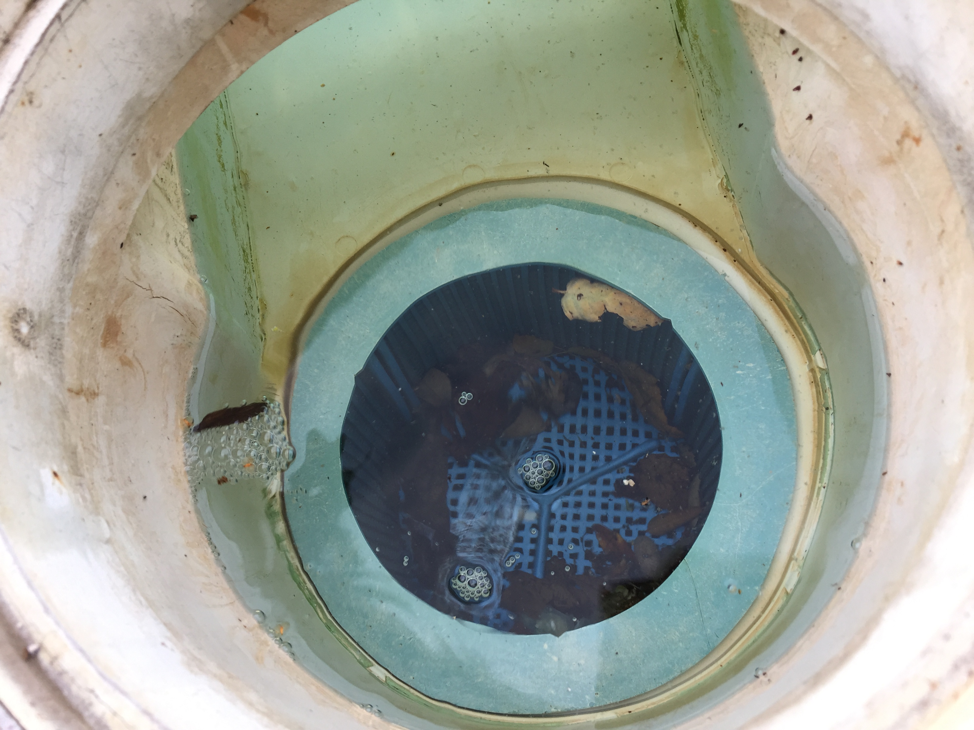 Skimmer Vac-Mate - R211100 - INYOPools.com