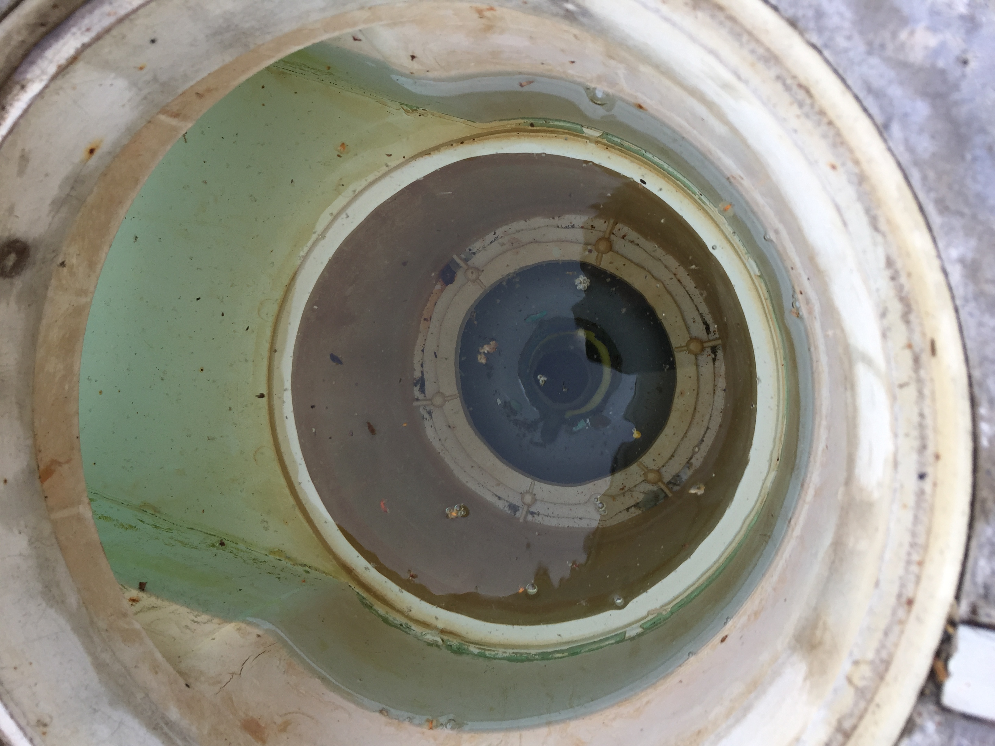 Skimmer Vac-Mate - R211100 - INYOPools.com