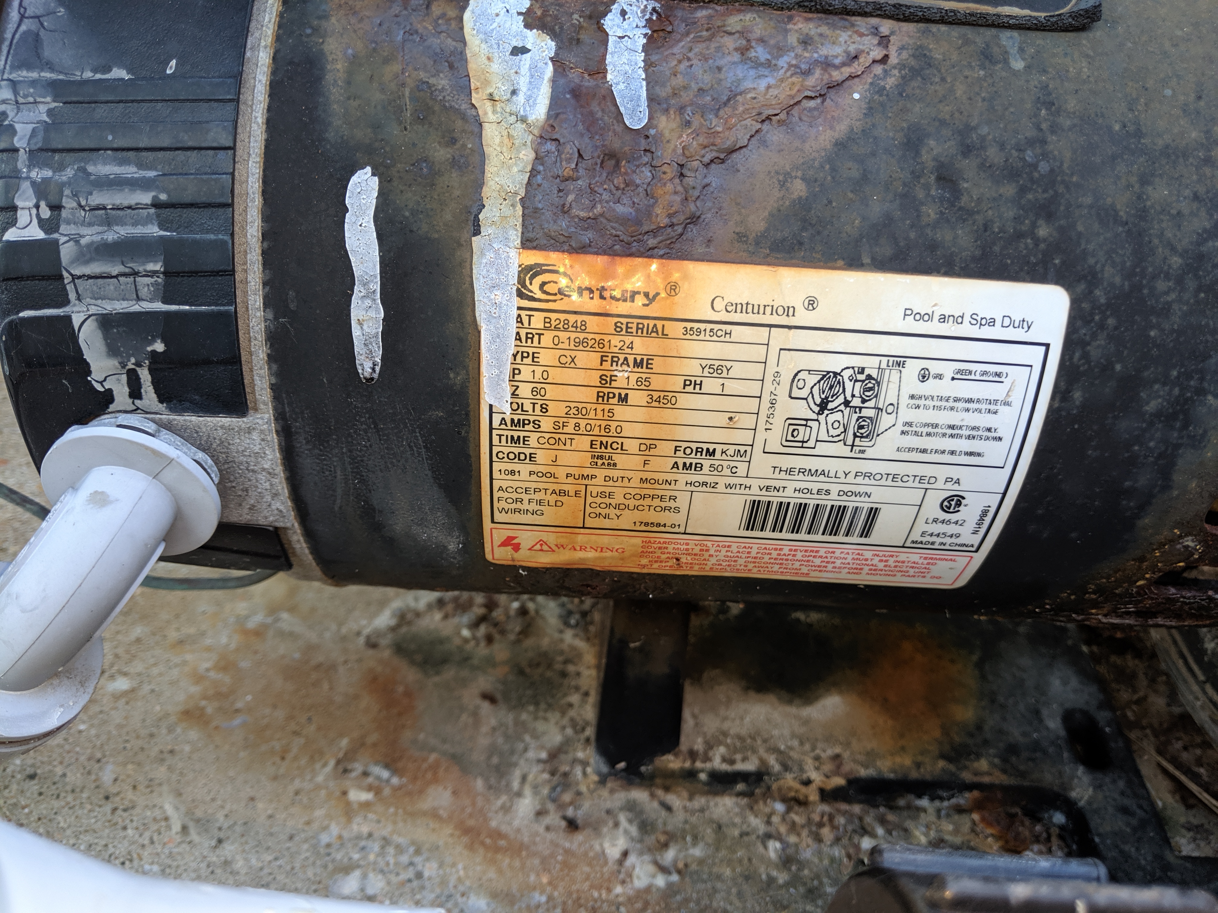 Pentair Challenger CH 1 HP 115/230V Energy Efficient Pump - INYOPools.com