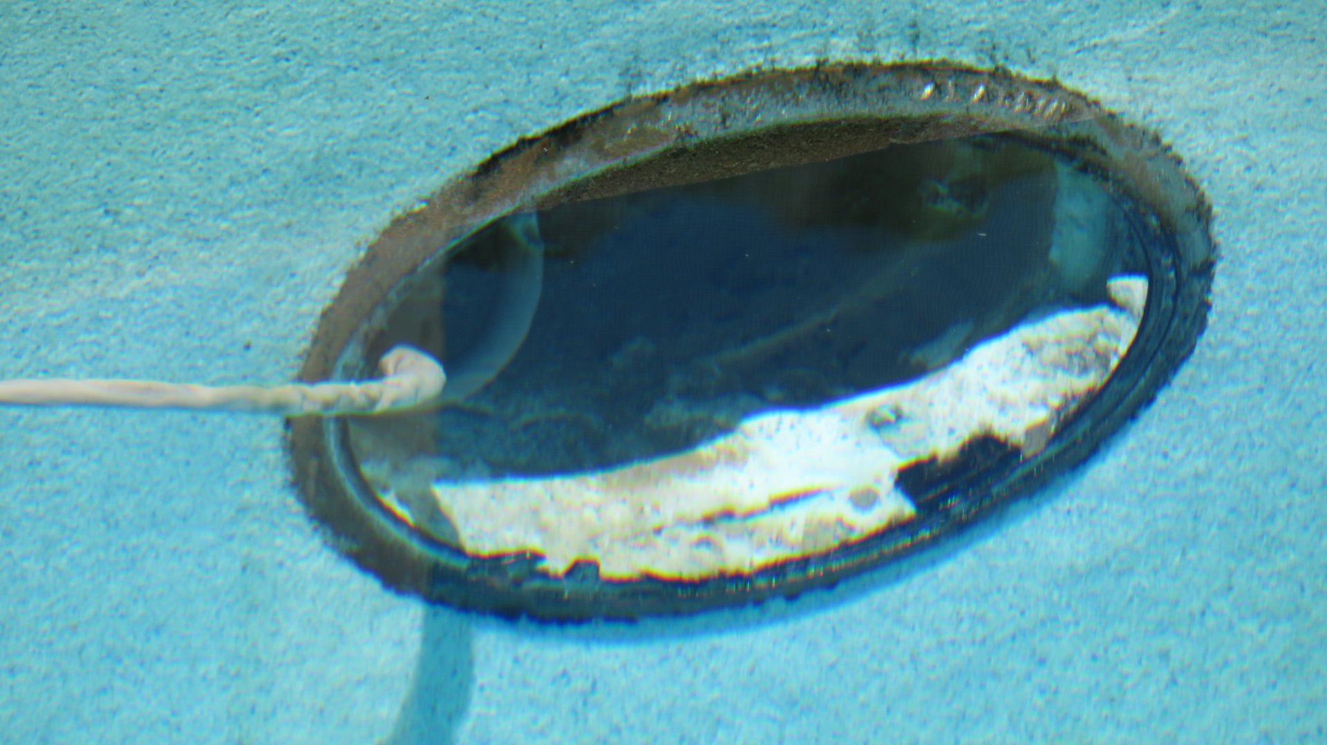 Pentair Stainless Steel Light Face Ring Assembly - 79110600 - INYOPools.com